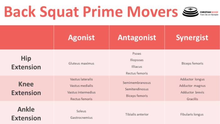 What is the prime mover in the Back Squat? – Christian Bosse